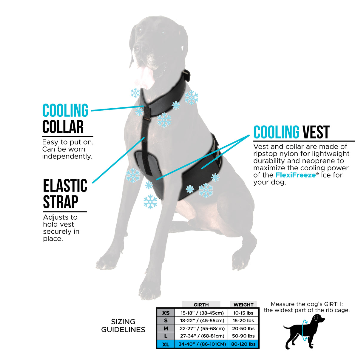 CoolerDog Dog Cooling Vest and Collar - CoolerDog.com