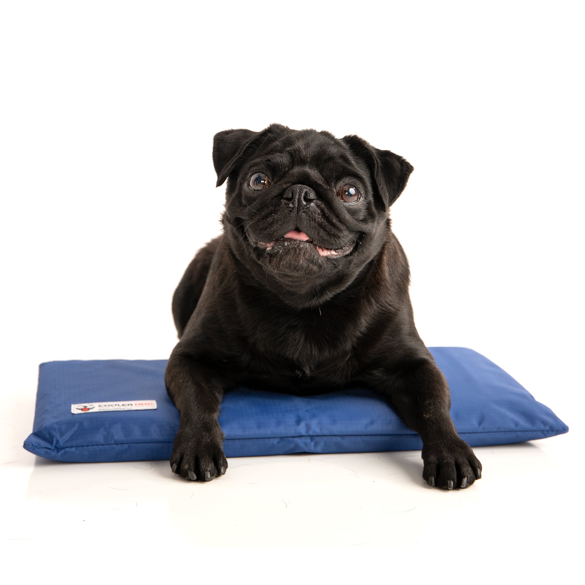 Hydro Cooling Mat - Dog Cooling Pad - CoolerDog.com